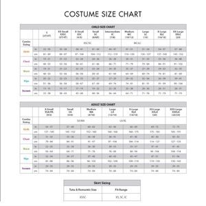 Weissman | Costumes | Weissman Solo Dance Costumegray Mesh Tunic Stoned ...